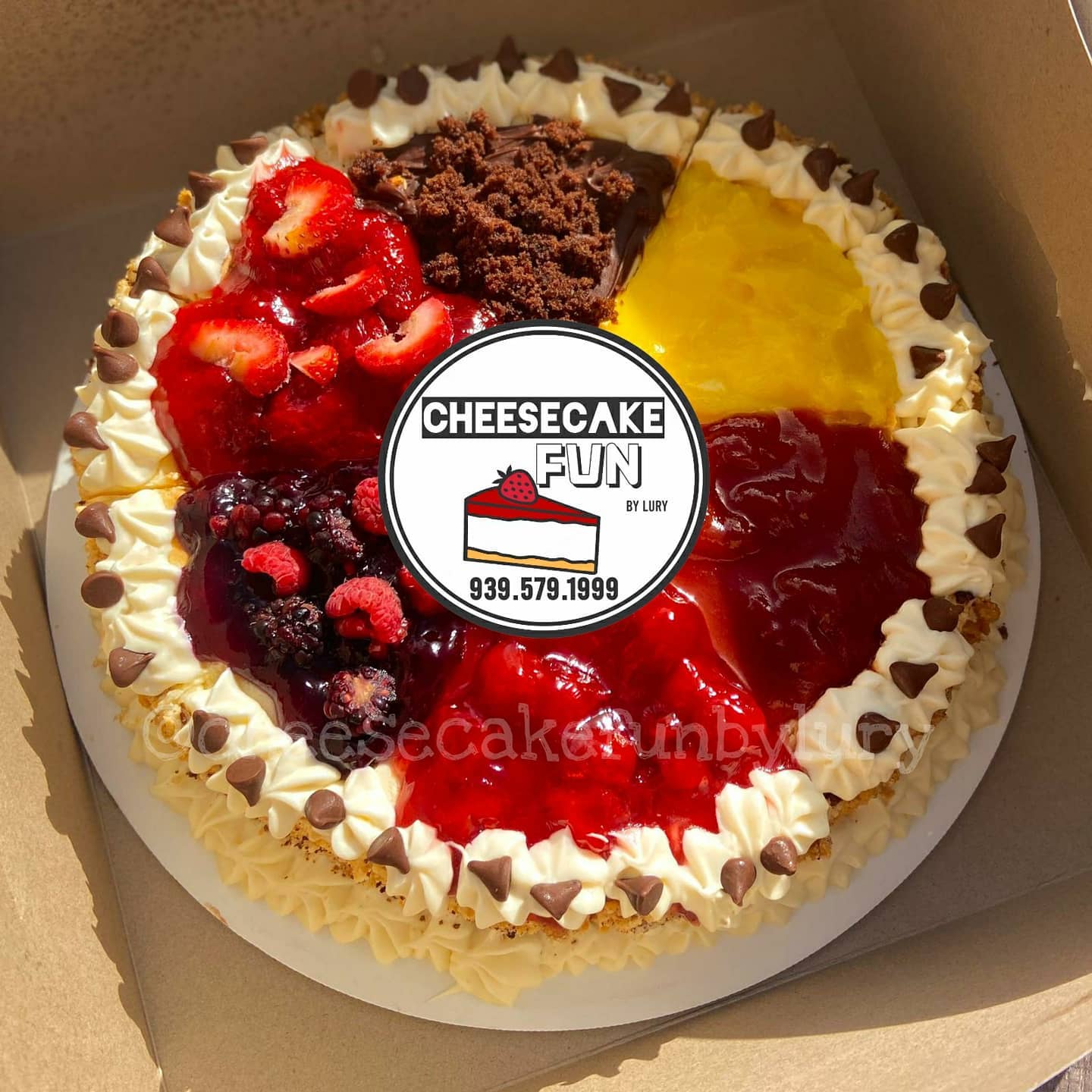 CHEESECAKE FUN – Cheesecake Fun By Lury